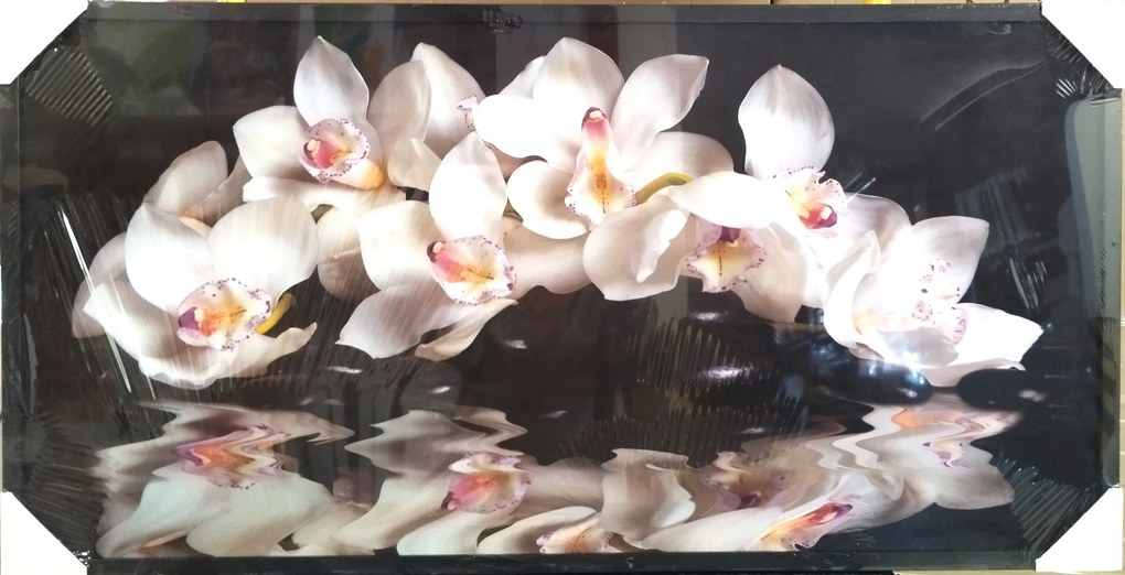 Obraz "Orchidej" - tisk na papír, zarámovaný, 103x53cm