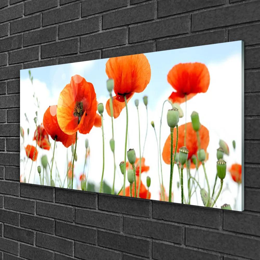 Obraz na skle Květiny Máky Louka Pole Příroda 140x70 cm