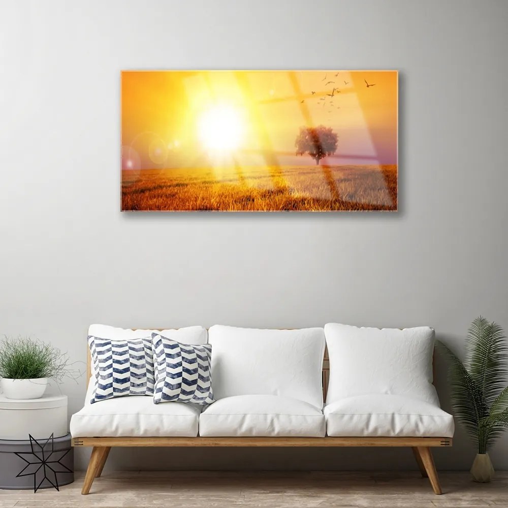 Obraz na skle Západ Slunce Louka Plátky 100x50 cm