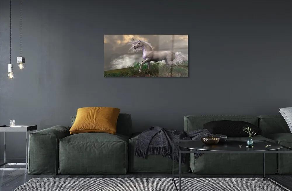 Obraz na skle Unicorn mraky 140x70 cm