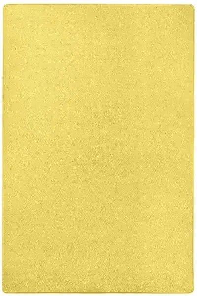 Hanse Home Collection koberce Kusový koberec Fancy 103002 Gelb - žlutý - 160x240 cm