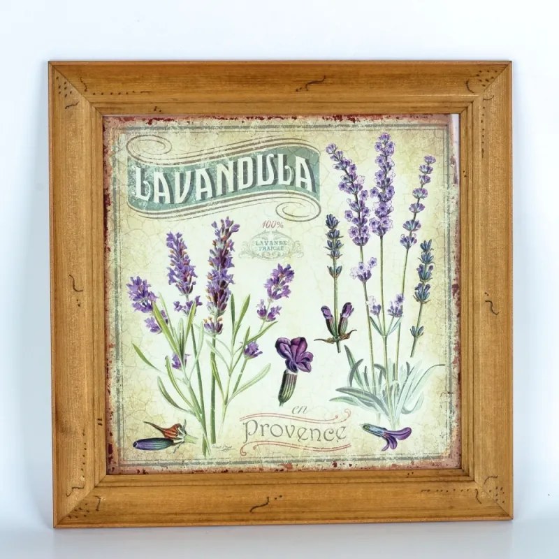 Obraz Levandula 38x37cm