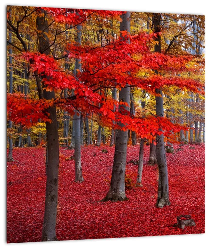 Obraz - Červený les (30x30 cm)