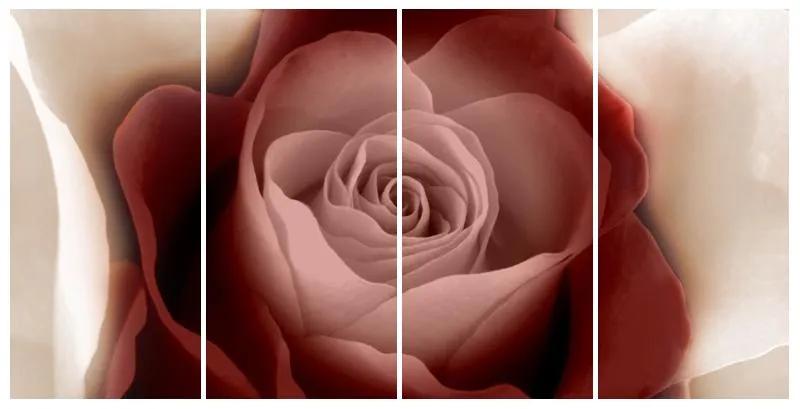 Obraz krásného květu růže (160x80 cm), 40 dalších rozměrů