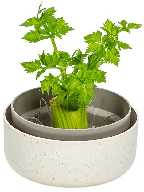 Klíčící miska Regrow, slonová kost s kávovou sedlinou