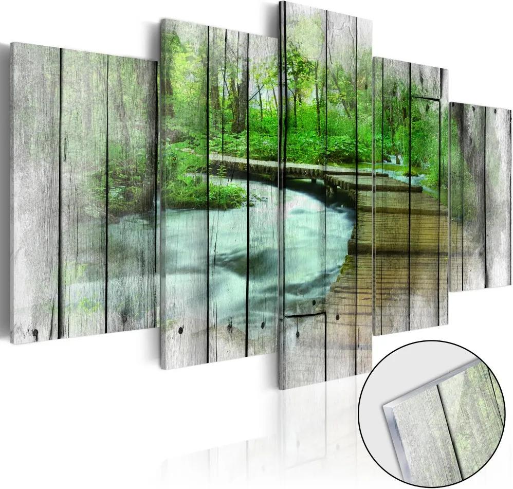 Obraz na skle Bimago - Forest of Secrets 100x50 cm