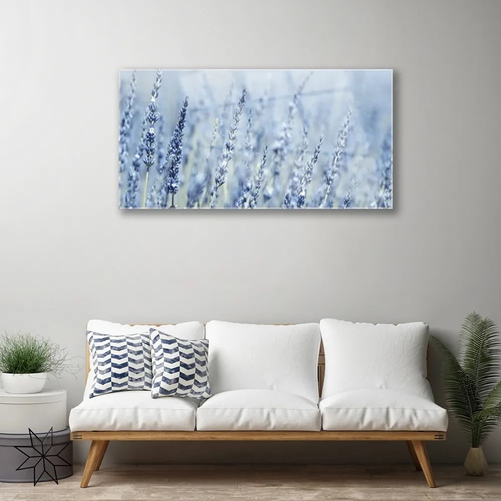 Obraz na skle Květiny Klasy Louka Příroda 125x50 cm