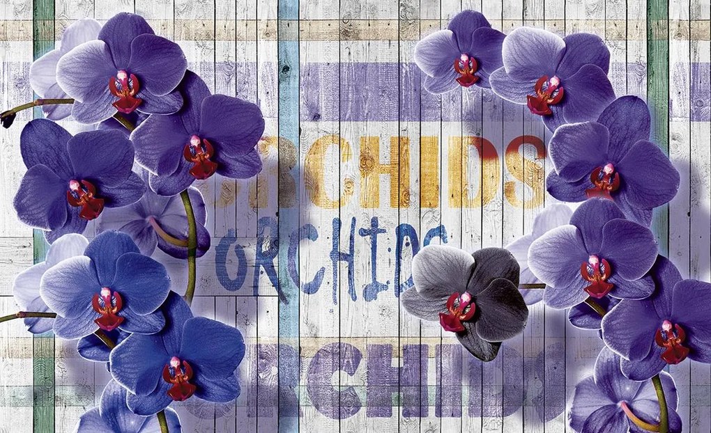 Fototapeta - Orchidej (152,5x104 cm)