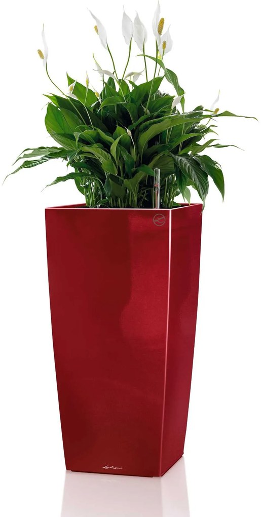 Lechuza Premium Cubico Alto All Inclusive Set Scarlet Red High-gloss V 105 cm / D 40 cm