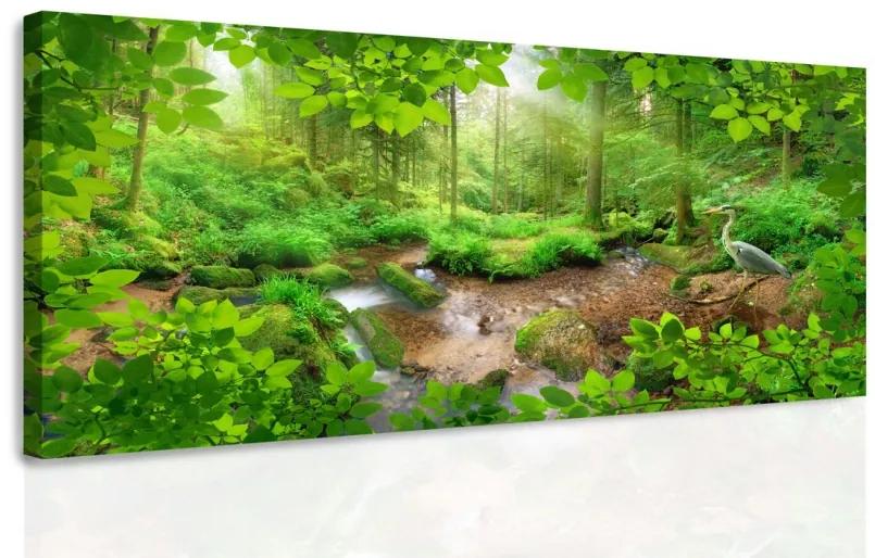 Malvis ® Obraz - Pohled do lesa Velikost: 100x50 cm
