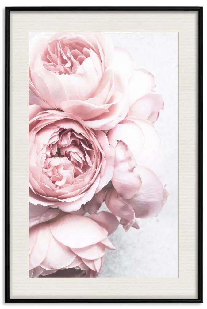 Plakát Růžová vůně - romantická kompozice růžových květů na světlém pozadí