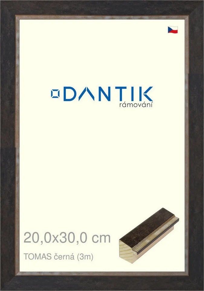 DANTIK rámeček 20x30 | TOMAS černá (Sklo Čiré)