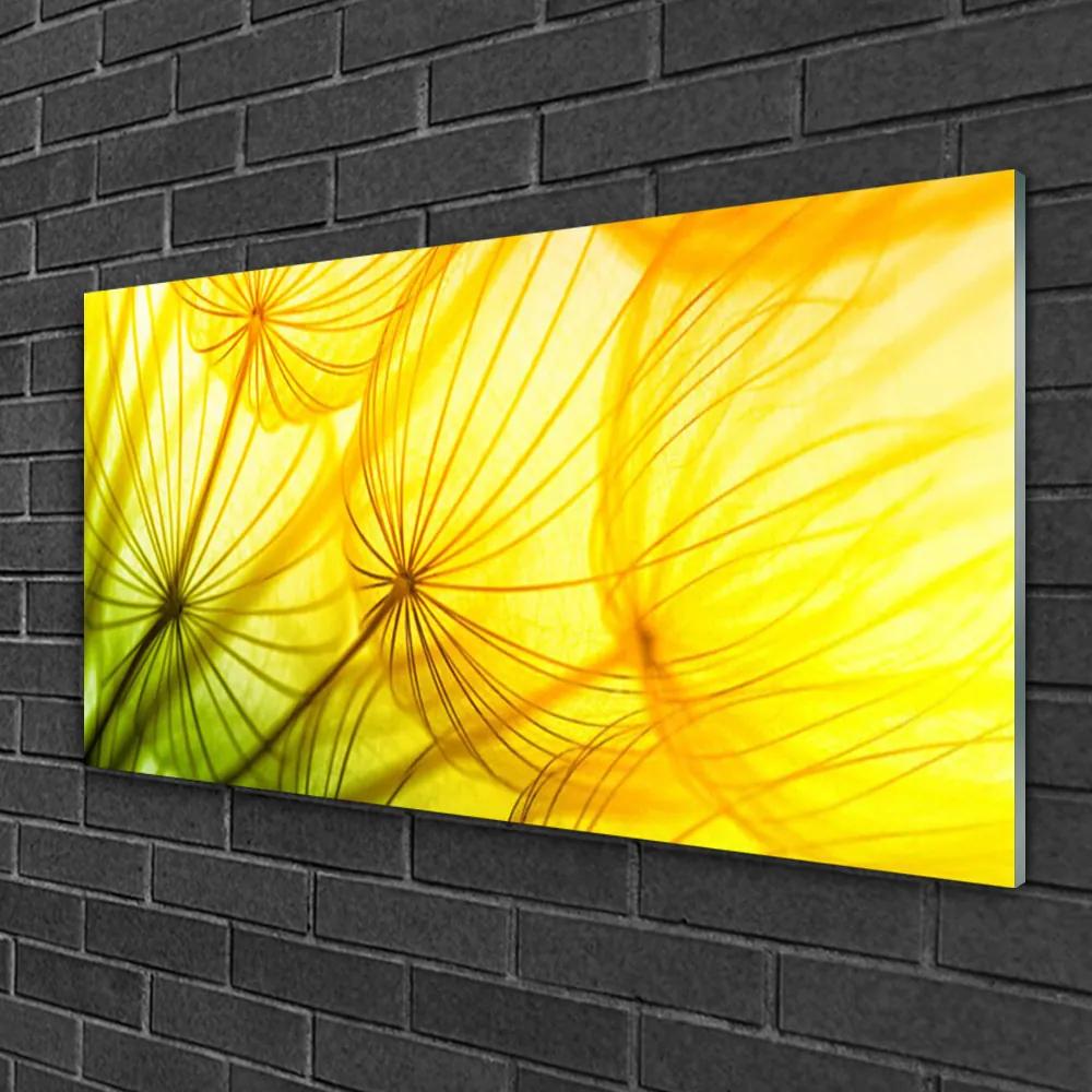 Obraz na skle Pampelišky Květiny Příroda 120x60 cm