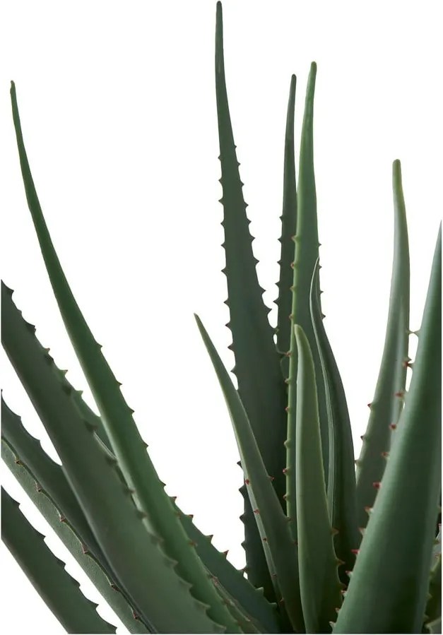 Umělá rostlina (výška 51 cm) Aloe Vera – House Nordic