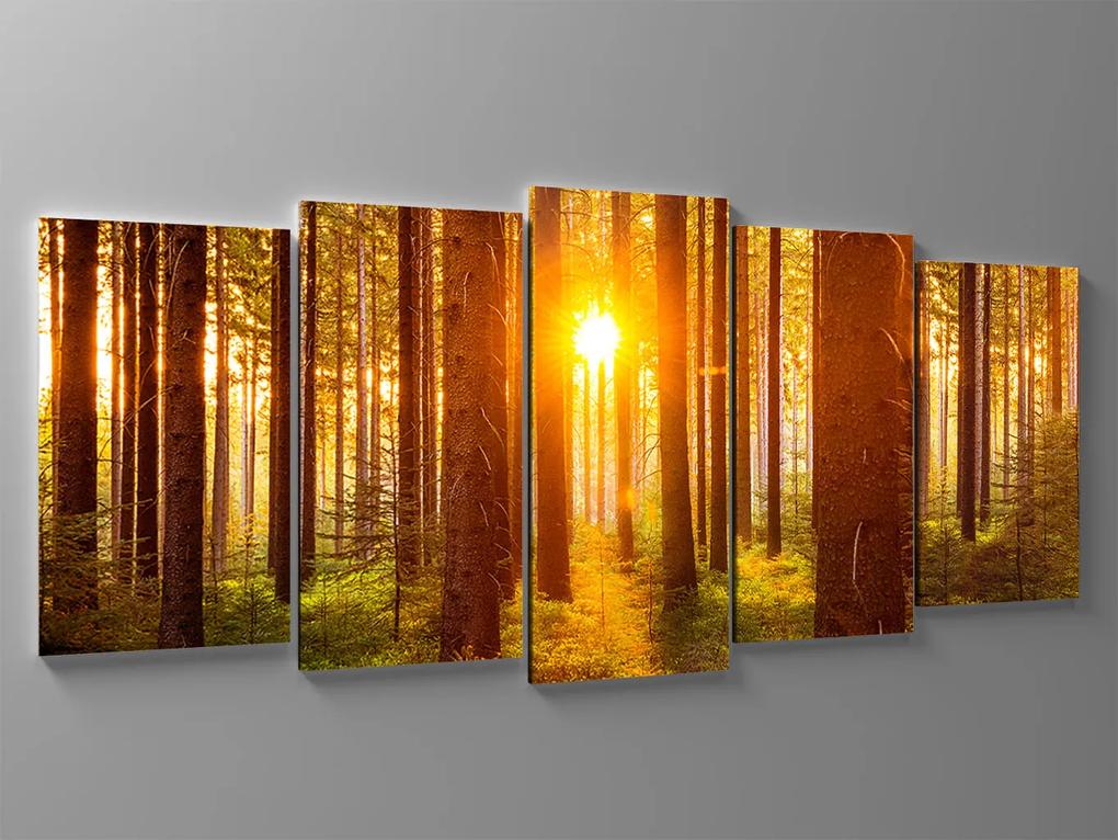 Liox Obraz rozbřesk v lese Rozměr: 100 x 45 cm