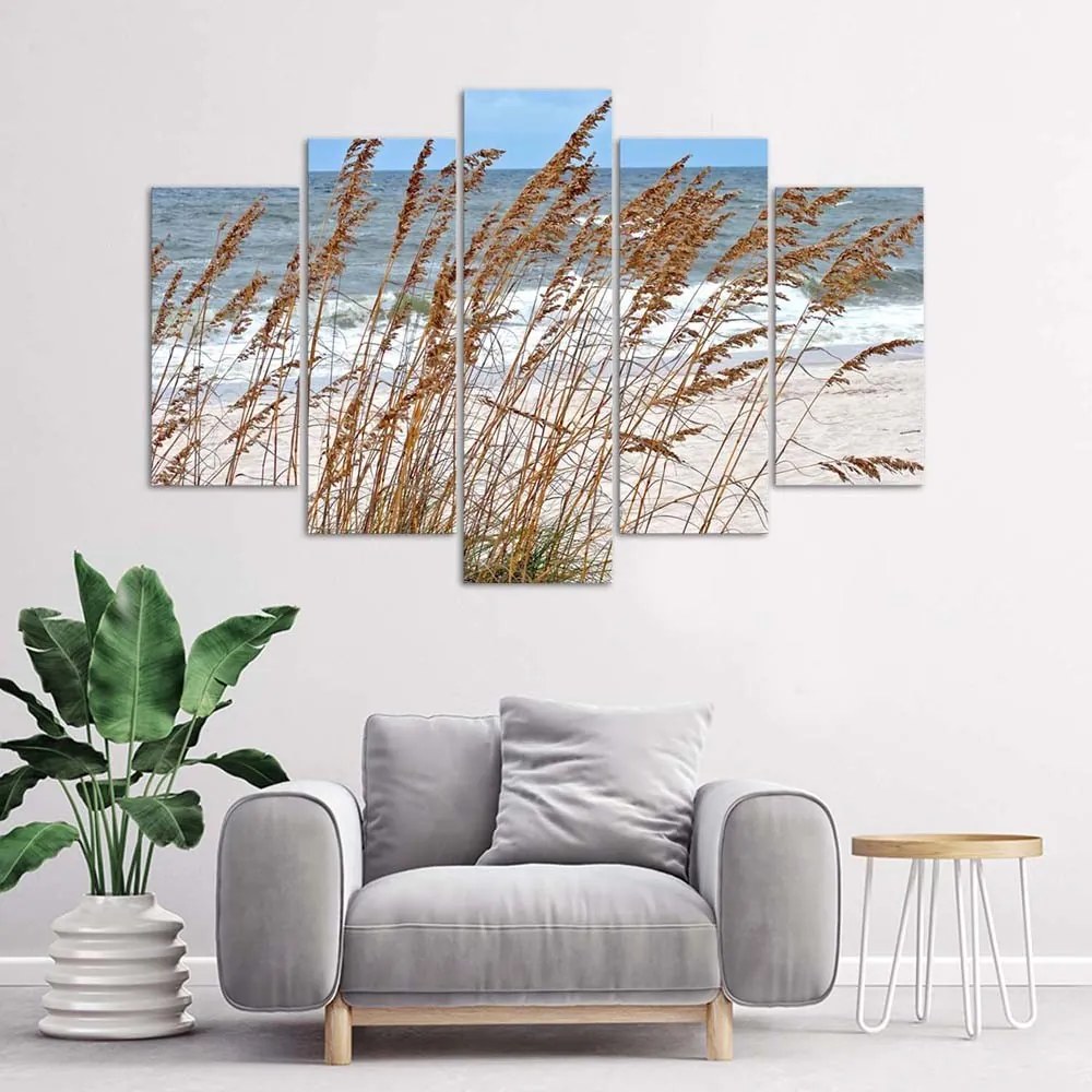 Gario Obraz na plátně Rákosí u moře - 5 dílný Rozměry: 100 x 70 cm