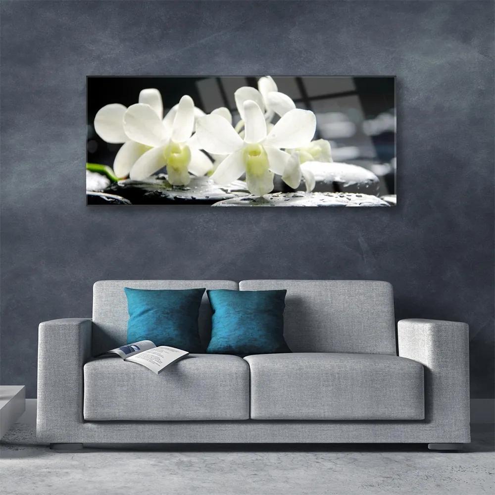 Plexisklo-obraz Kameny Květiny Orchidej 125x50 cm