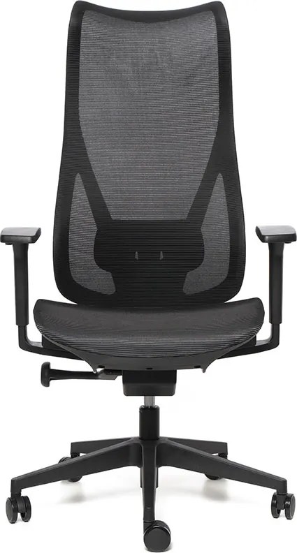 Kancelářská ergonomická židle Sego HARMONY — síť, černá Sego
