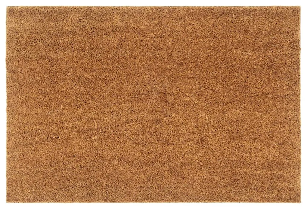 Rohožka před dveře přírodní 60 x 90 cm kokosové vlákno 155563