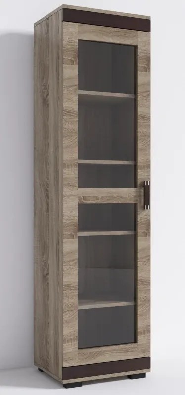 Obývací stěna Kombi P2, artisan (č.1/černé)