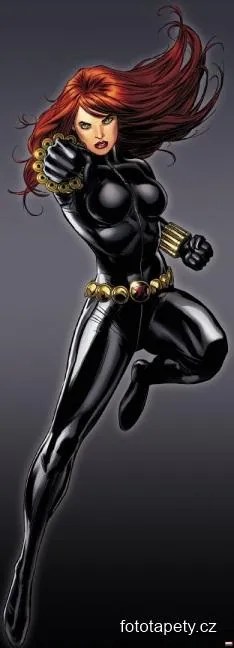 Komar Avengers - Černá vdova, dětská fototapeta jednodílná, 73x202 cm, 1D 1-430
