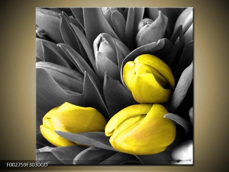 Obraz tří žlutých tulipánů  (), 40 dalších rozměrů
