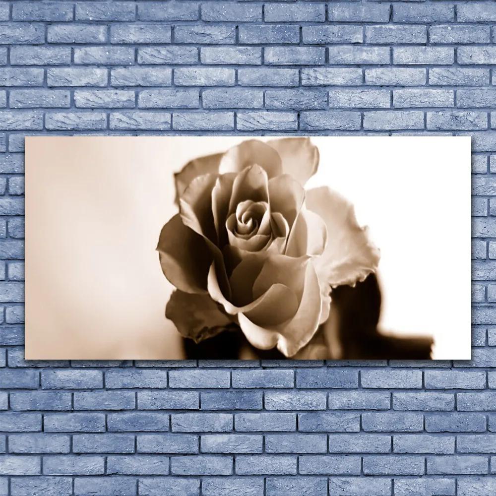 akrylový obraz Růže Květ 120x60 cm