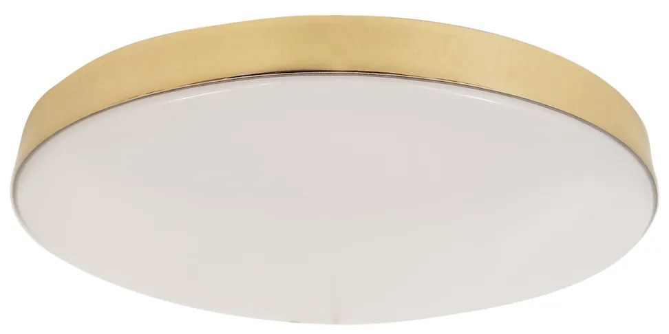 Stropní LED svítidlo Maya, 1x LED 15w, 4000k, g
