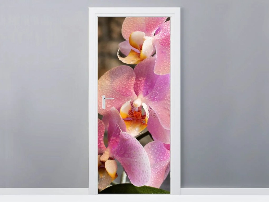 Gario Samolepící fólie na dveře Krásná růžová orchidej 95x205cm Velikost: 95 x 205 cm