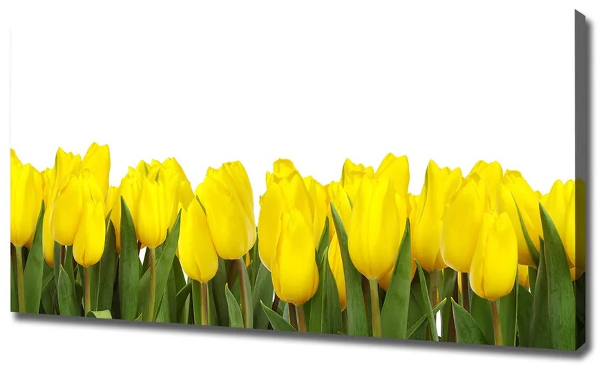 Wallmuralia Foto obraz na plátně Žluté tulipány 120x60 cm