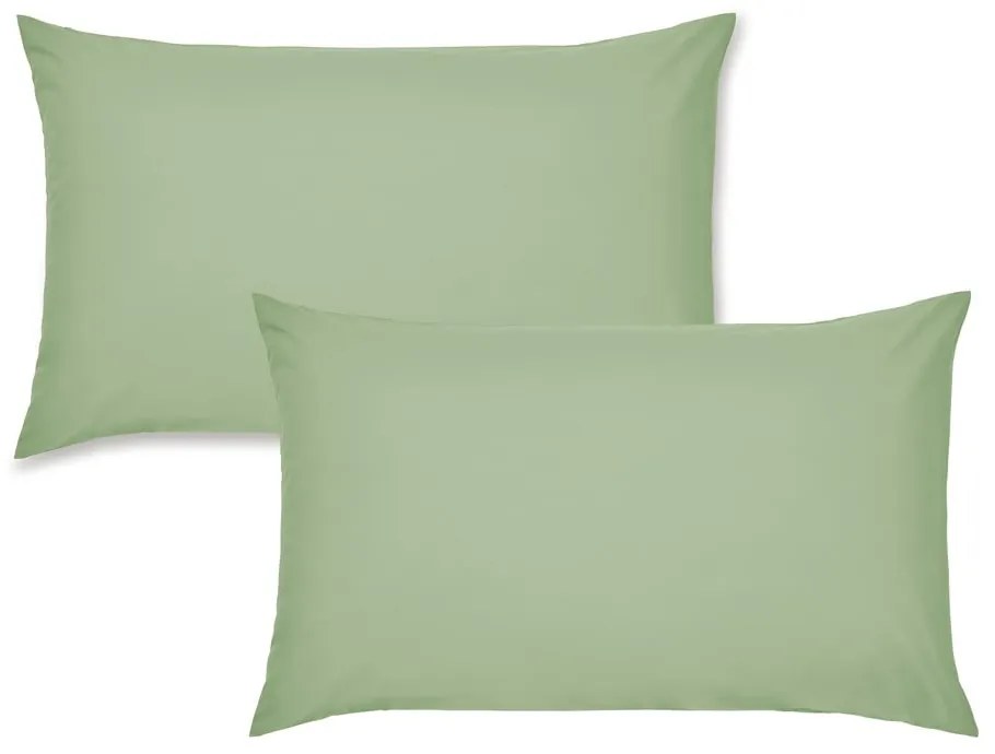Perkálové povlaky na polštáře v sadě 2 ks 50x75 cm Easy Iron Percale – Catherine Lansfield