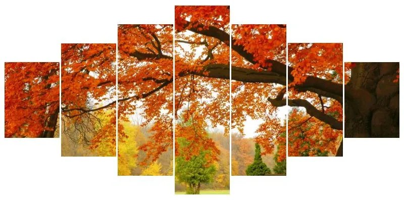 Krásný obraz podzimního parku (210x100 cm), 40 dalších rozměrů