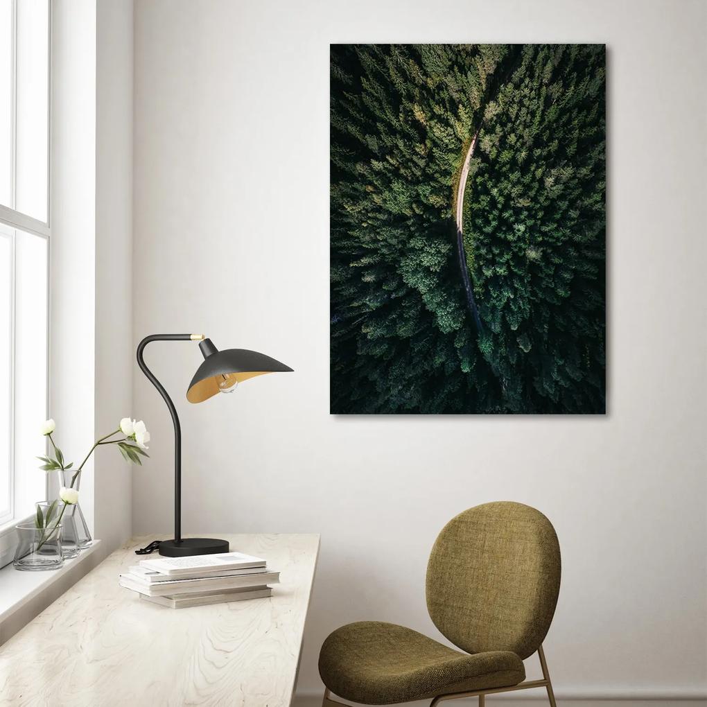 Gario Obraz na plátně Pohled na les z ptačí perspektivy - Nikita Abakumov Rozměry: 40 x 60 cm