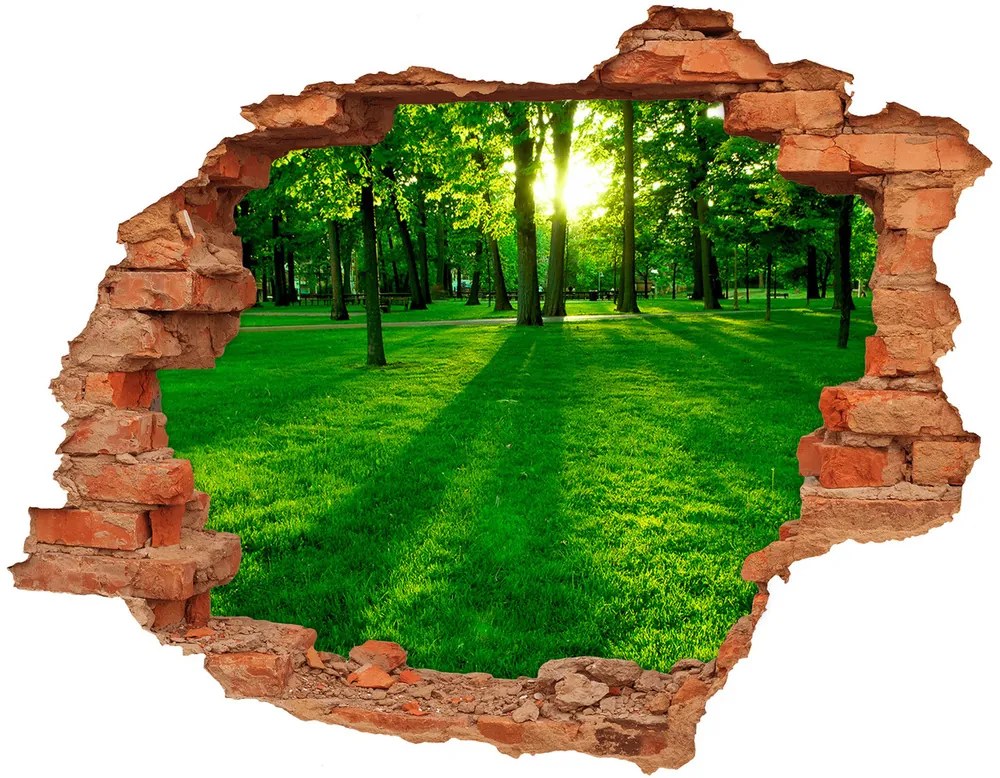 Wallmuralia Díra 3D ve zdi nálepka Tráva v parku 90x70 cm