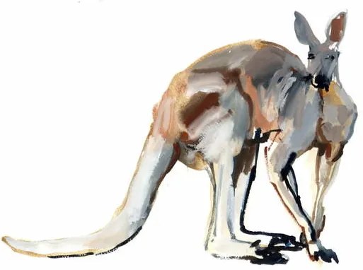 Adlington, Mark - Obraz, Reprodukce - Roo, (Red Kangaroo), 2012,