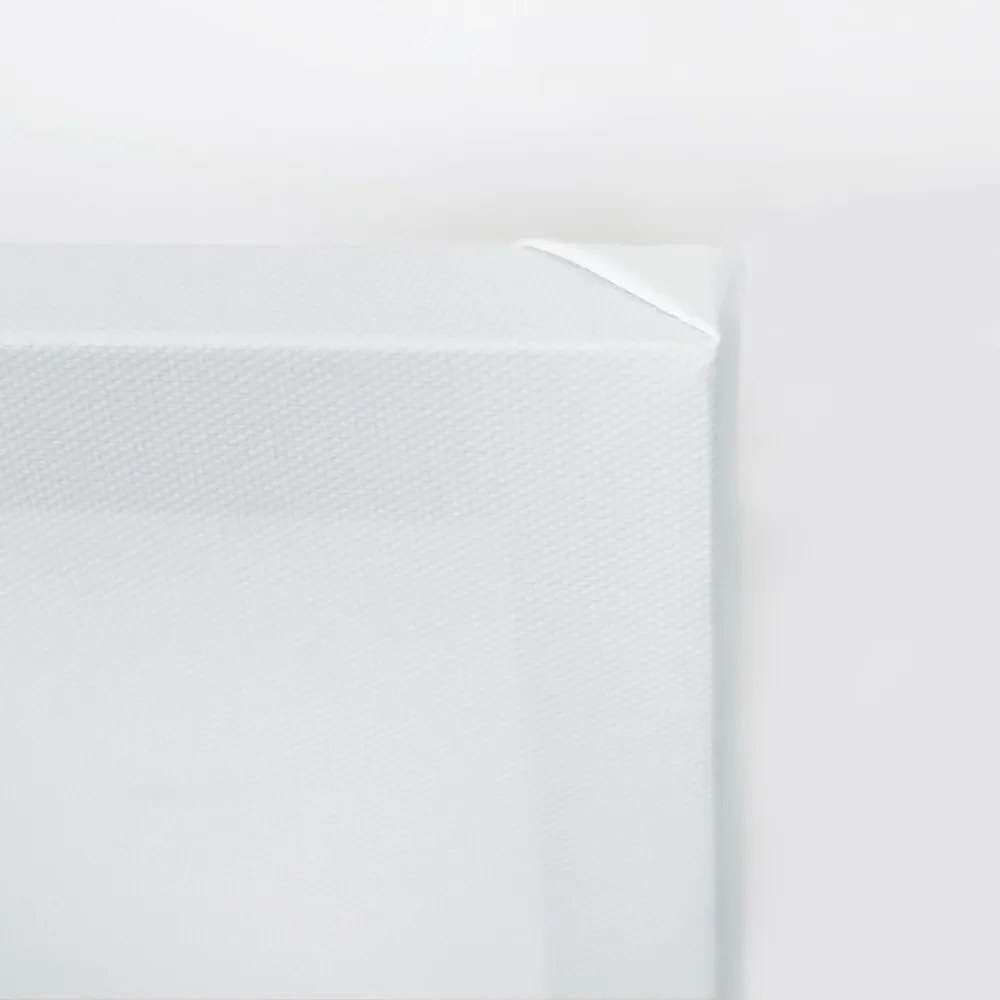 Gario Obraz na plátně Kytice máků ve váze Rozměry: 30 x 30 cm
