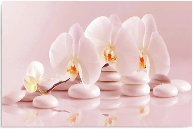 Obraz CARO - Orchids Zen 120x80 cm