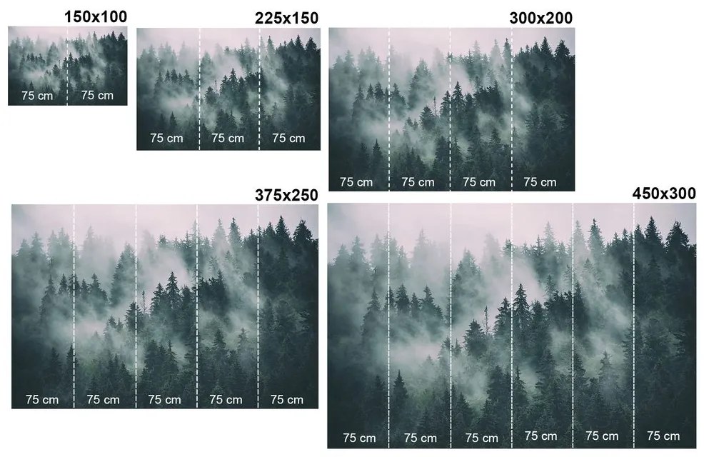 Samolepící fototapeta černobílá cestička do lesa