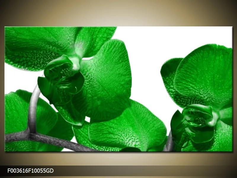 Obraz zelených orchidejí  (), 40 dalších rozměrů