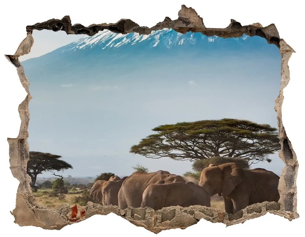 Wallmuralia Díra 3D fototapeta Sloni Kilimandžáro 95x64 cm