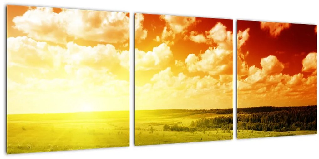 Obraz louky se zářícím sluncem (90x30 cm), 40 dalších rozměrů