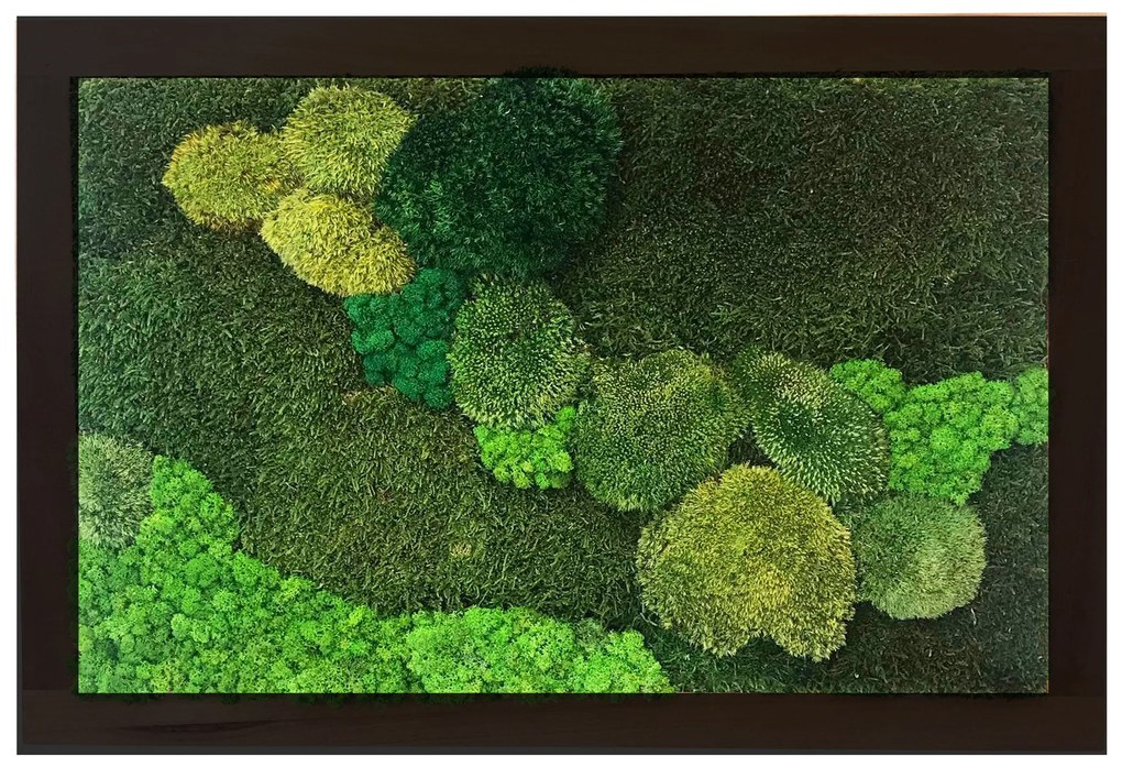 Mechový obraz|kombinace mechů Rozměr obrazu: 120x50 cm, Barva rámu: Černá, Síla rámu (pohledová): 4,5 cm