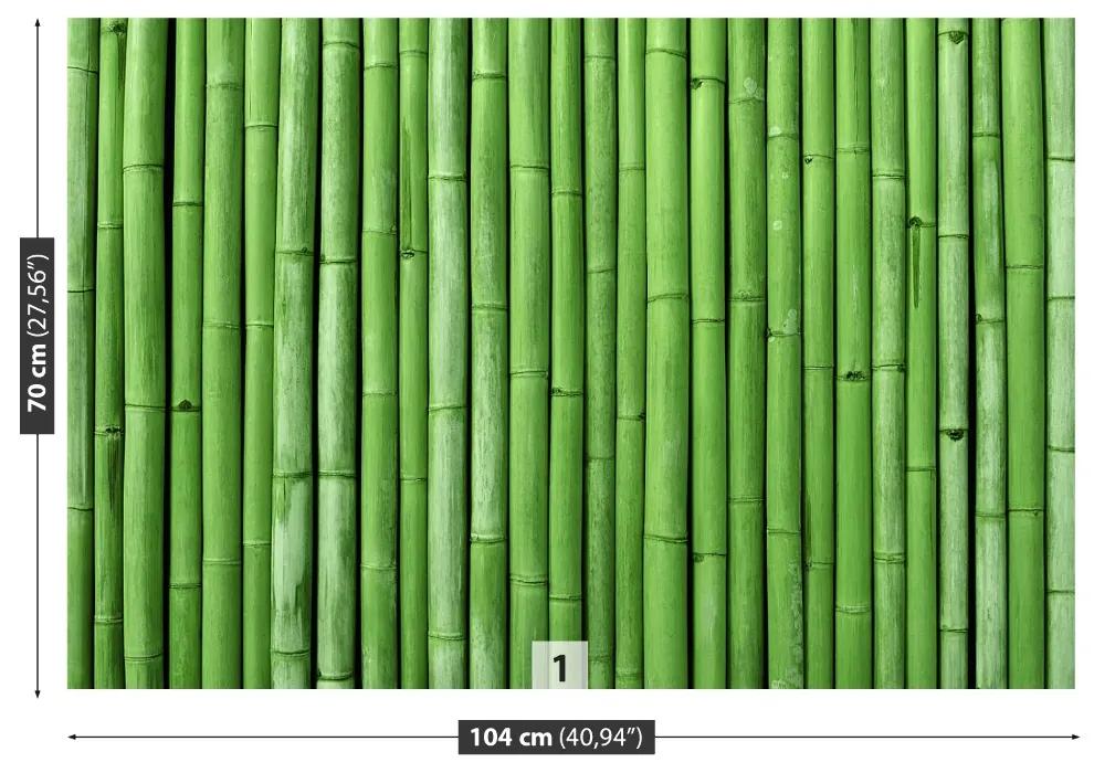 Fototapeta Bambusová zelená 104x70