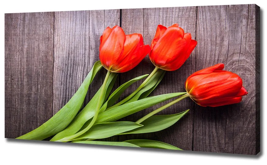 Wallmuralia Foto obraz na plátně Červené tulipány 120x60 cm