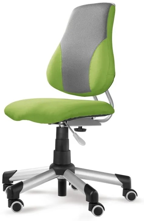 Dětská rostoucí židle Mayer Actikid 2428 A2 43