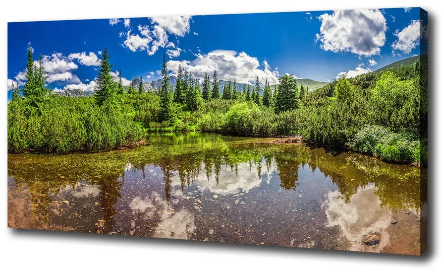 Wallmuralia Foto obraz na plátně do obýváku Jezerov  lese 100x50 cm