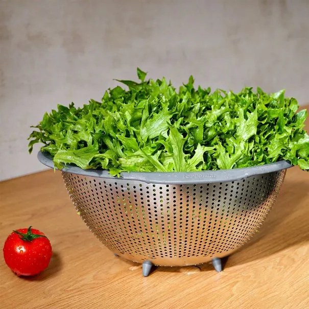 TESCOMA Cedník se širokým okrajem GrandCHEF ø 26 cm