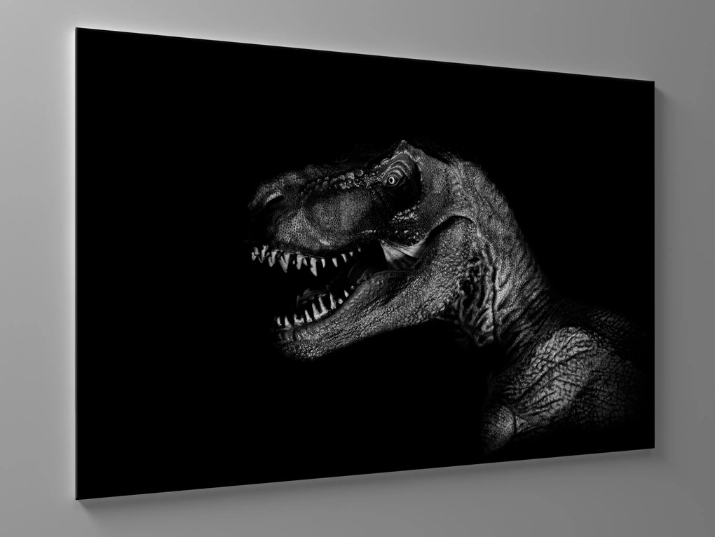 Obraz tyrannosaurus rex Rozměr: 120 x 80 cm