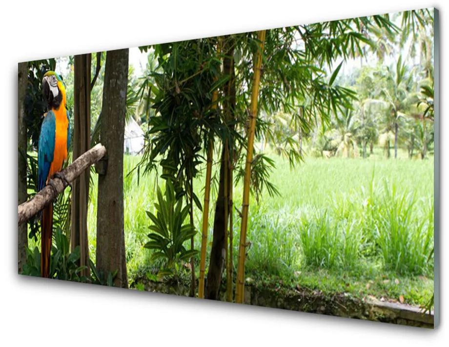 Obraz na skle Papoušek Stromy Příroda 100x50 cm