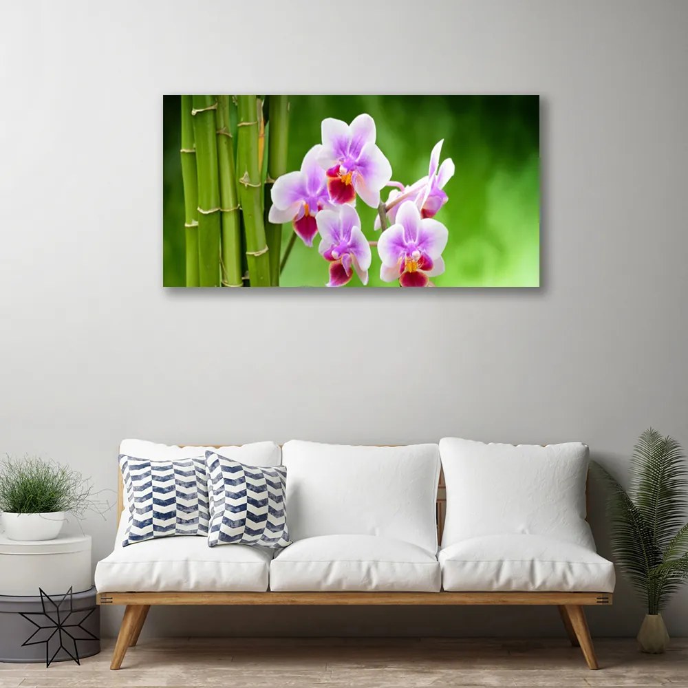 Obraz na plátně Bambus Orchidej Květiny Zen 100x50 cm